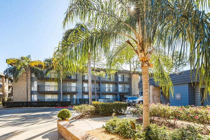 Star Voss Apartments Houston - $995+ for 1 & 2 Bed Apts